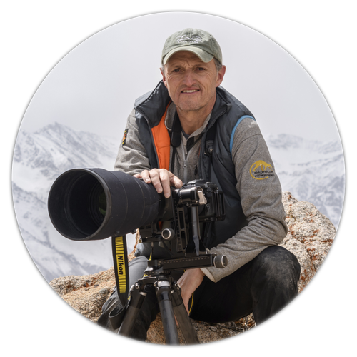 Creating The Best Solitaire Card Art With A Community — Flick Solitaire