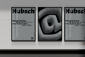 Hubsch Typeface – Experimental Brutalist Sans-Serif for Bold Designs ...
