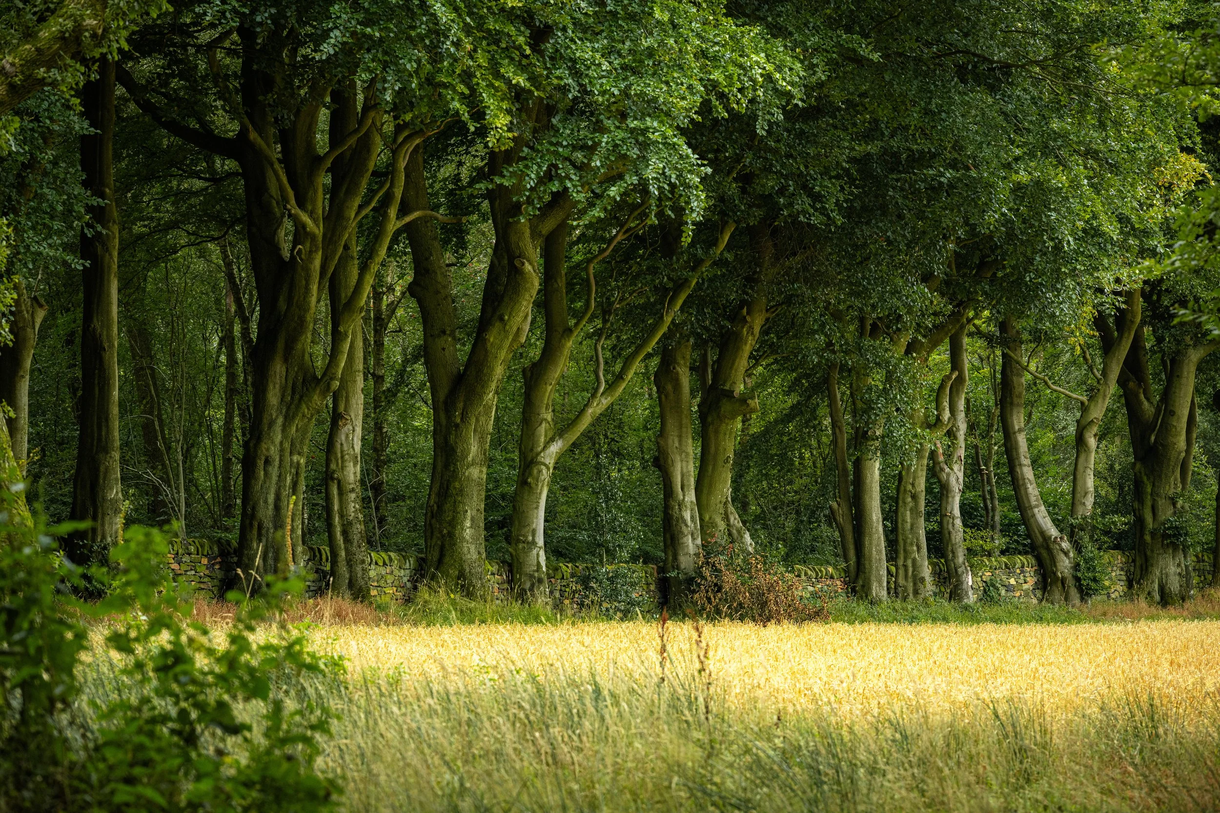 Landscape photographer Rob Thorley Photography based in Stoke-on-Trent ...