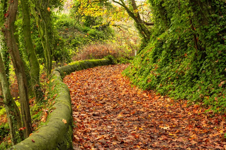 Landscape photography along the Caldon Canal at Froghall, Staffordshire ...