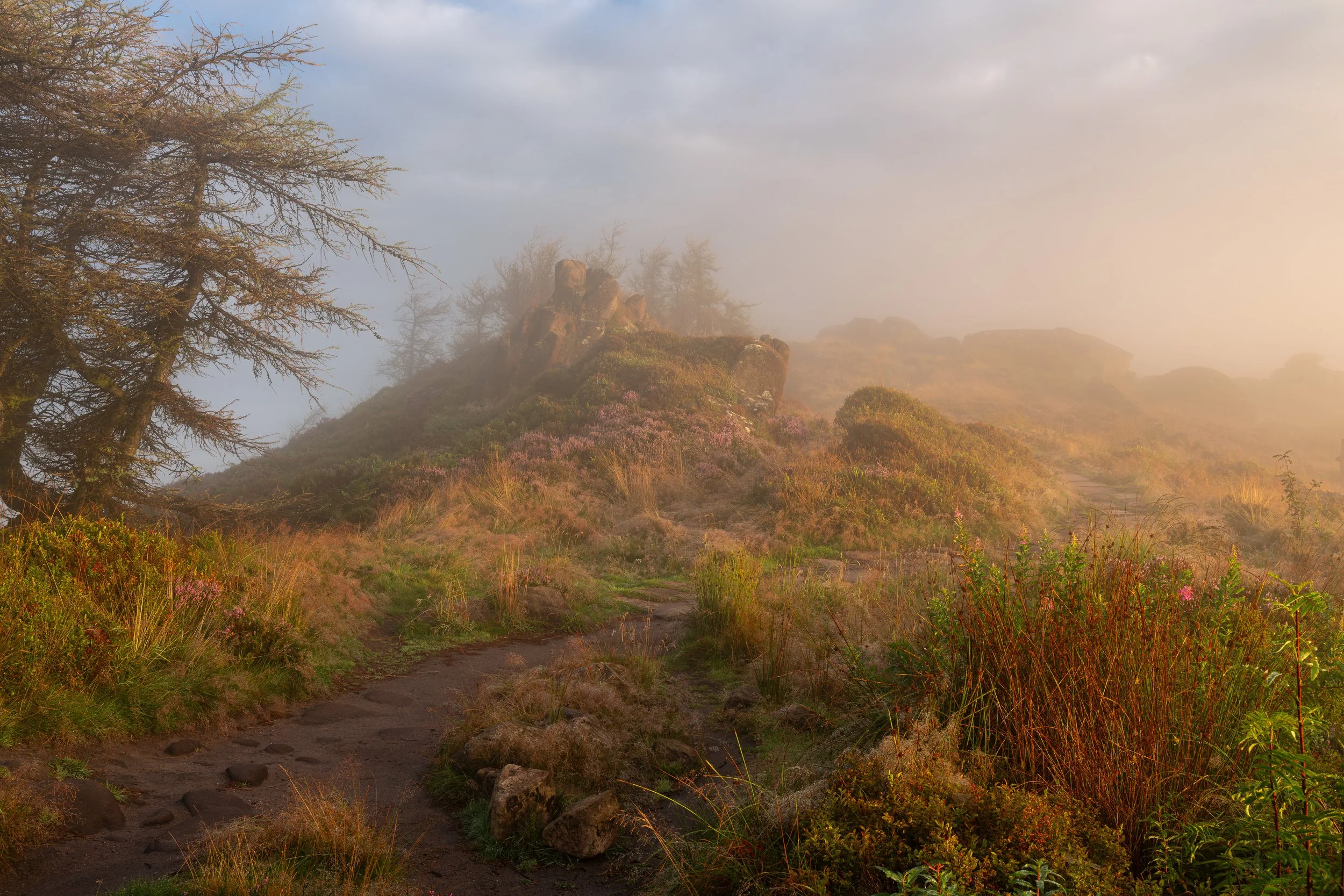 Staffordshire Landscape Photographer Rob Thorley Photography based in ...