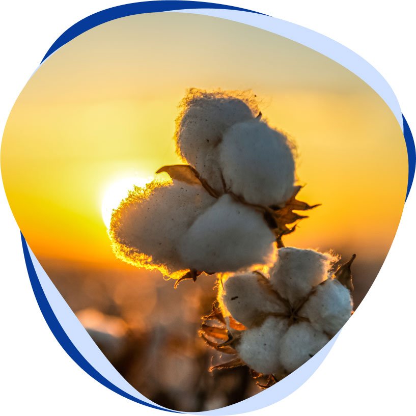 Sourcery | Sourcing solution that connects brands, manufacturers and ...