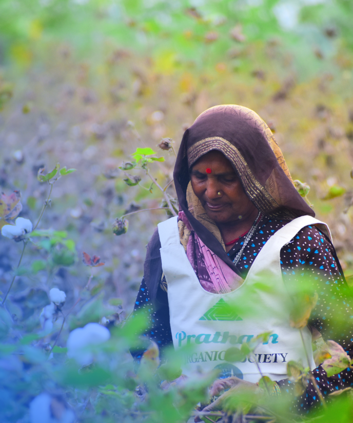 Sourcery | Global Sourcing Solution | Cotton | Direct-to-Grower™