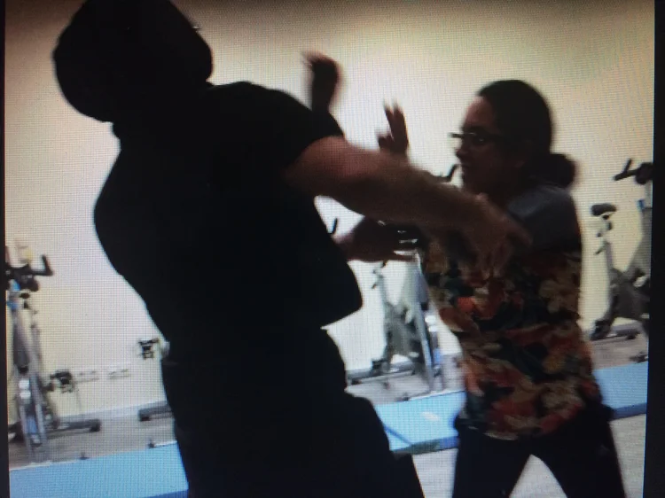 The SPEAR System of Self Defense — ReadinessRx