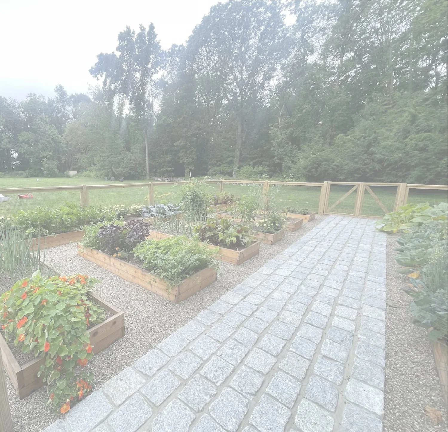 Organic Landscaping | Worcester County, MA | Reimagined Roots