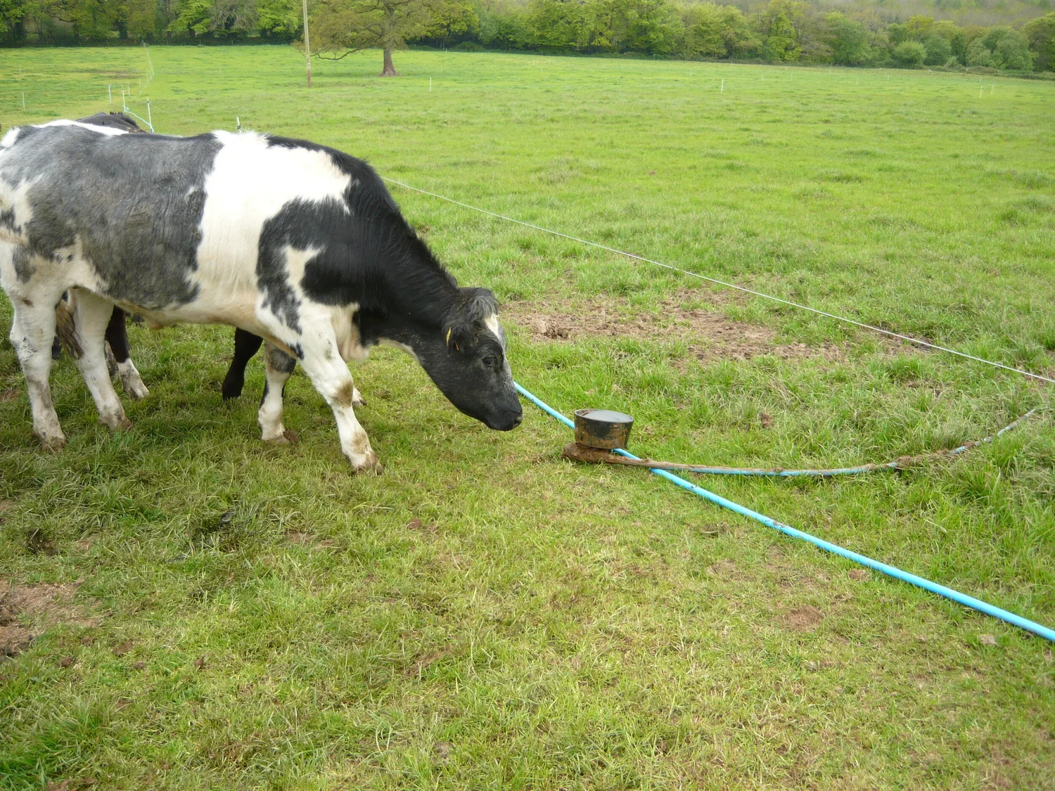 Kiwitech Drag Trough - Mobile Water Trough — Progressive Farming Company
