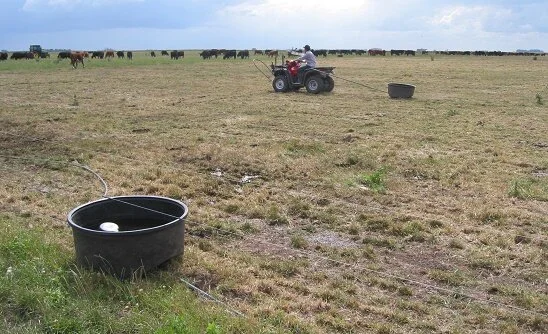Kiwitech Micro Trough Kit for Cattle — Progressive Farming Company