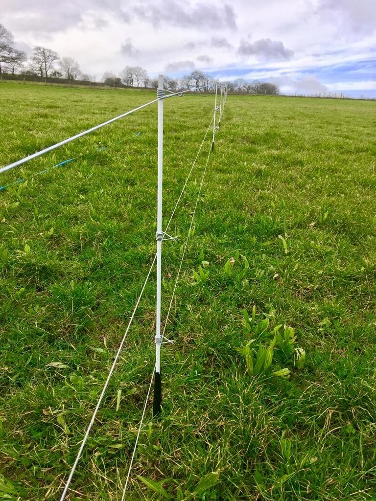 Kiwitech Permanent Fencing Systems | Rotational Grazing. — Progressive ...