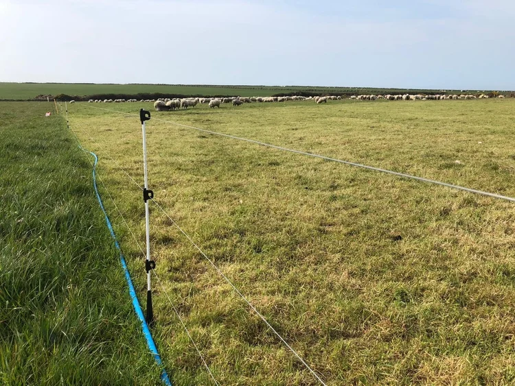 Durable and Efficient Permanent Electric Fencing Solutions Kiwitech ...