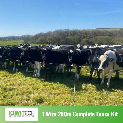 Electrified Fencing Cattle