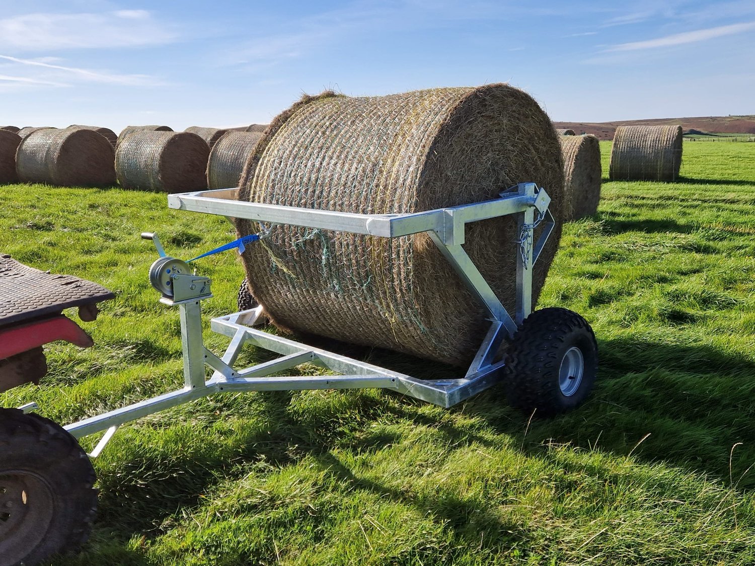 Expert Guide to Successful Bale Grazing This Winter | Progressive ...