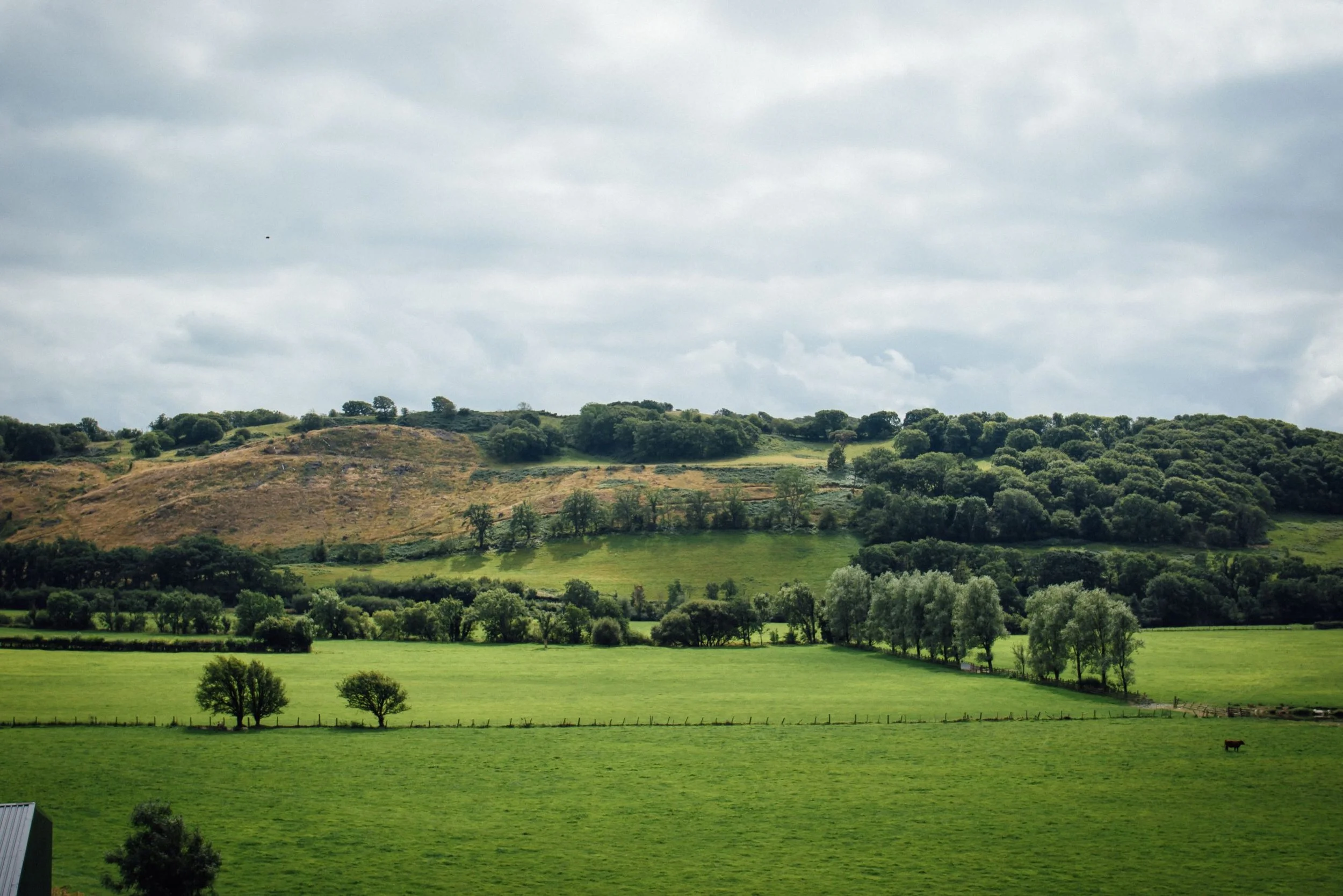 Welsh Small Grants – Further your Farming Efficiency – Apply Today ...