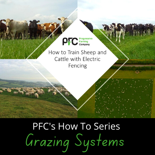 Progressive Farming Company | Exclusive Kiwitech UK distributors