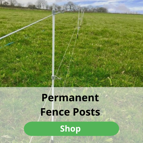 Shop Permanent Fencing | Rotational and Mob Grazing — Progressive ...