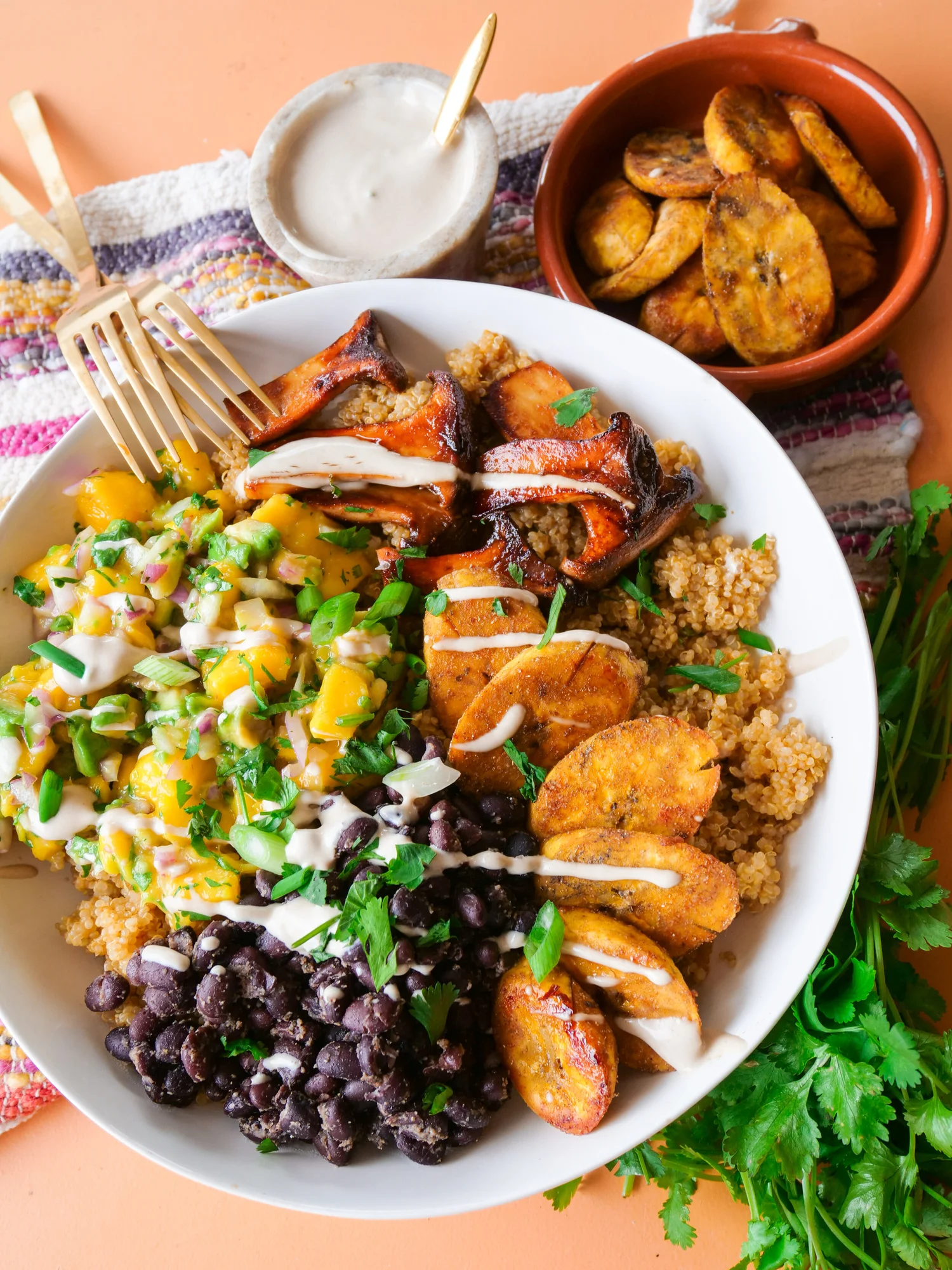 Loaded Cubano Bowls With Spiced Plantains