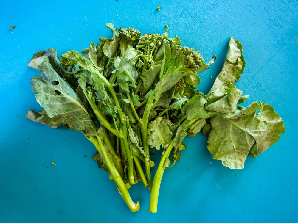 Best Ever Broccolini Side Dish