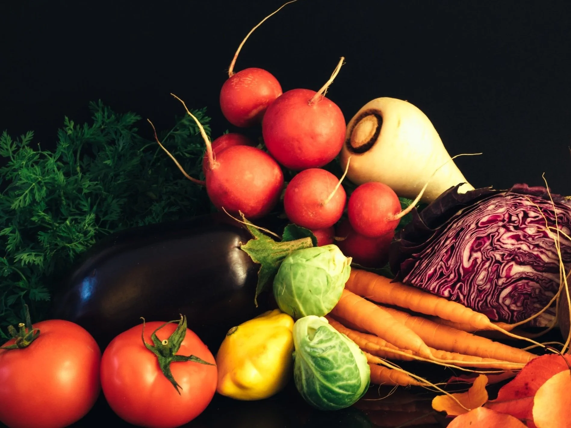 Food Security Resources in London, Ontario — LIFE*SPIN