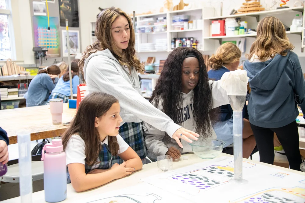 The Edward E. Ford Foundation