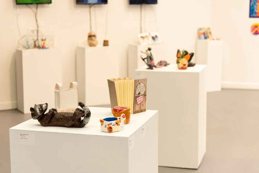 All City Visual Arts Exhibitions 2024 — Design Museum of Chicago