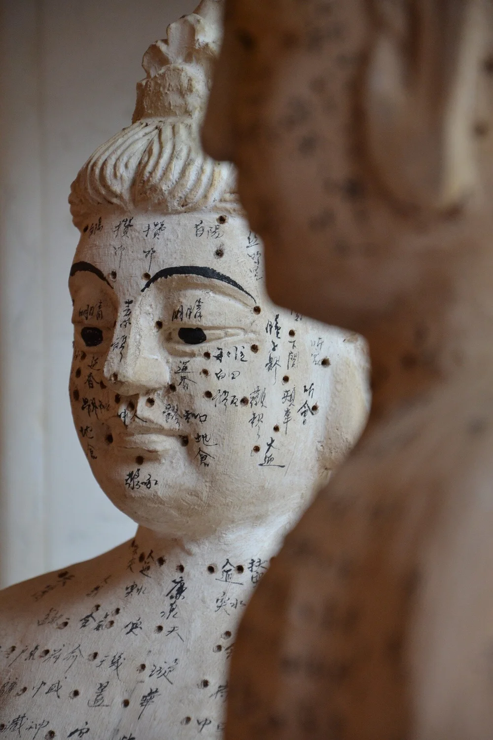 Miami Acupuncture and Herbal Solutions