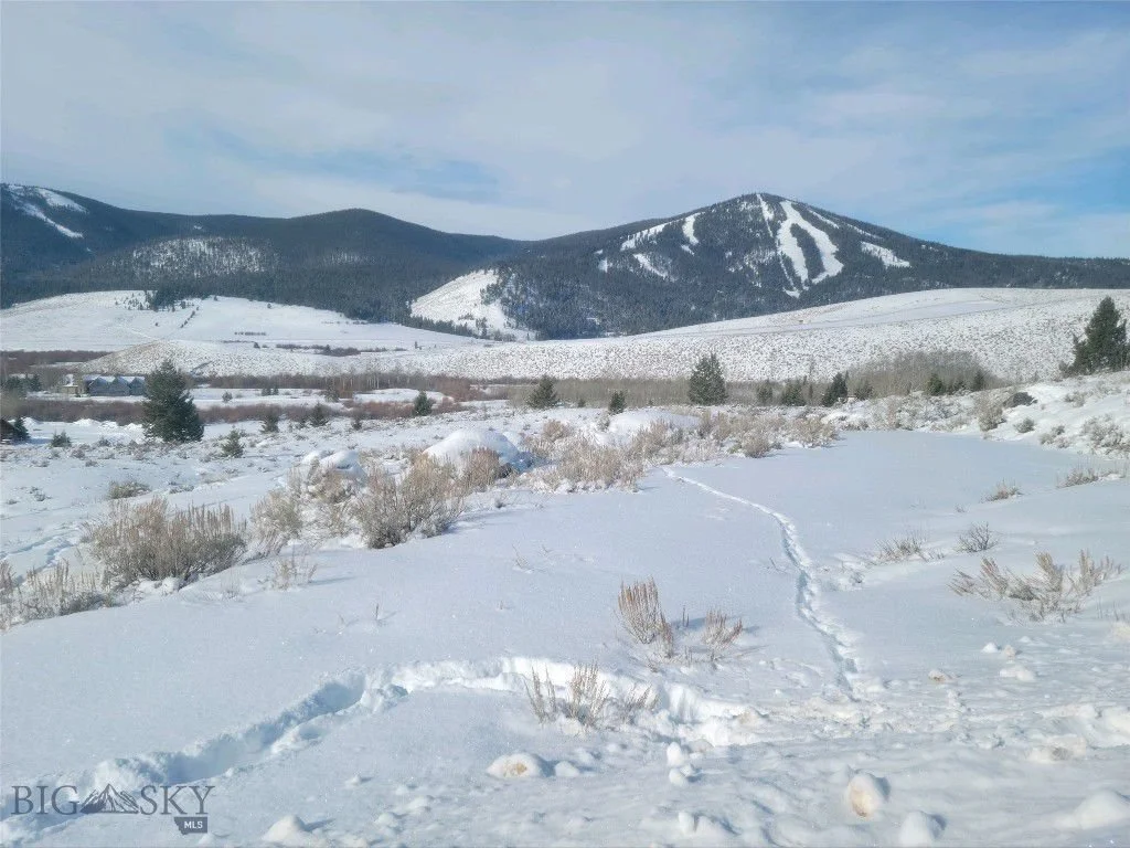 Listings — Mountain View Real Estate