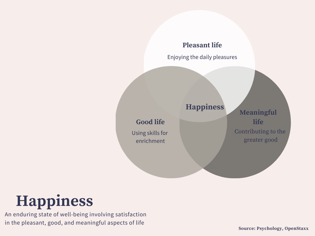 Realizing that Success = Happiness and ≠ Money — Affirmations with Avni