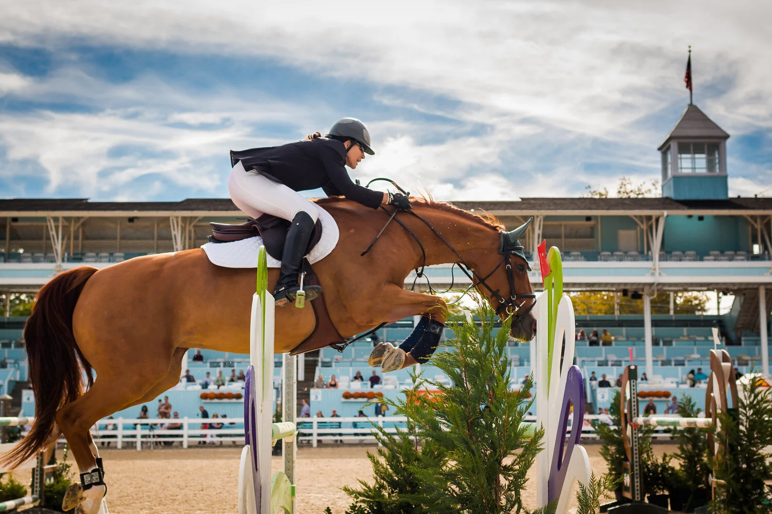 Kayfield Photography