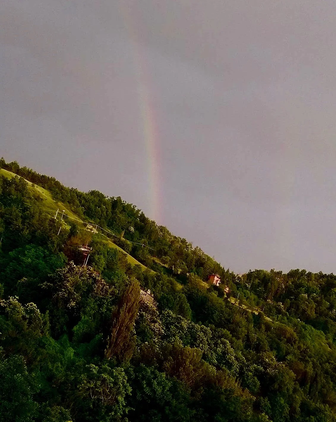 Episode 83: Dancing with the Solstice Sun With Susan Demeter and Kiki ...