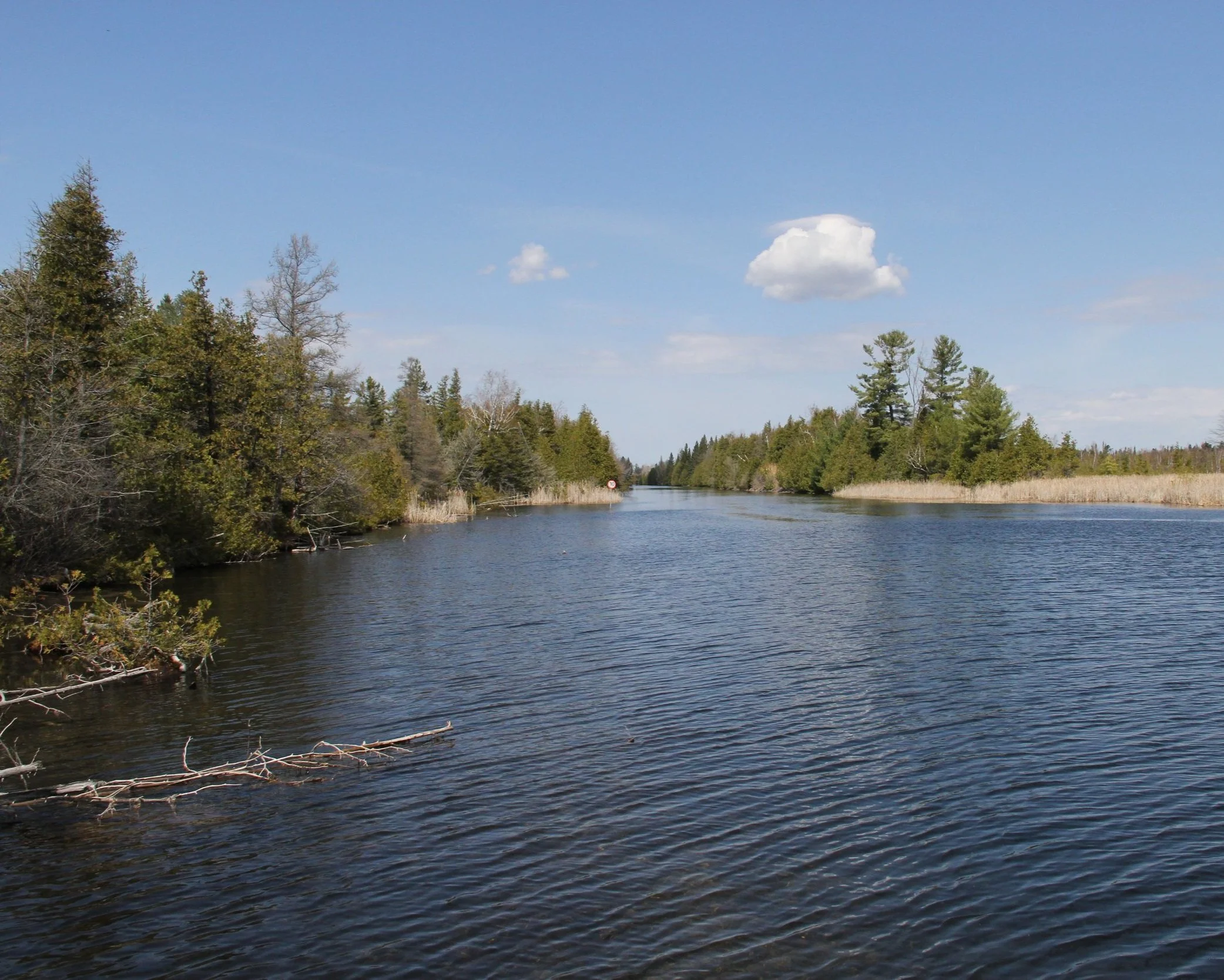 Mitchell Lake — The Langes | Kawartha Real Estate