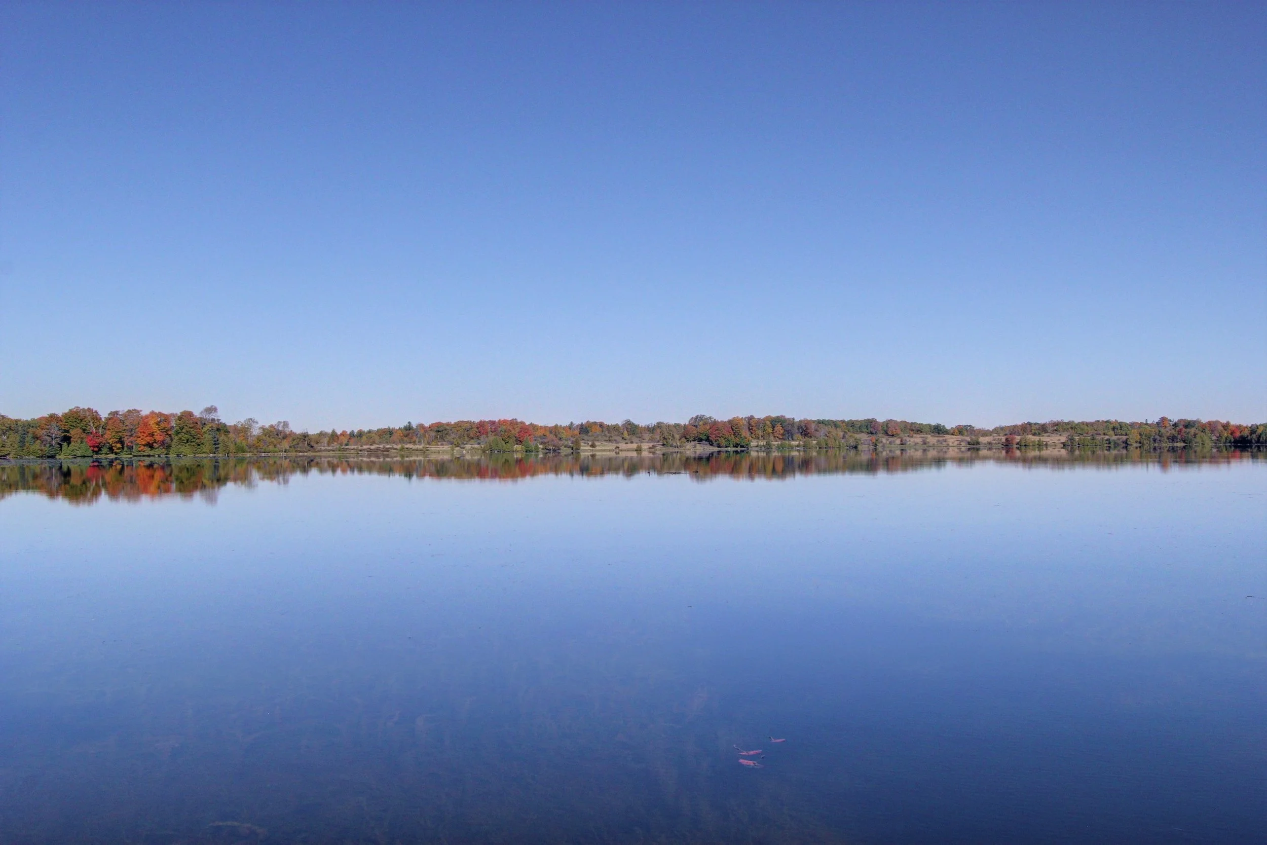 Mitchell Lake — The Langes | Kawartha Real Estate