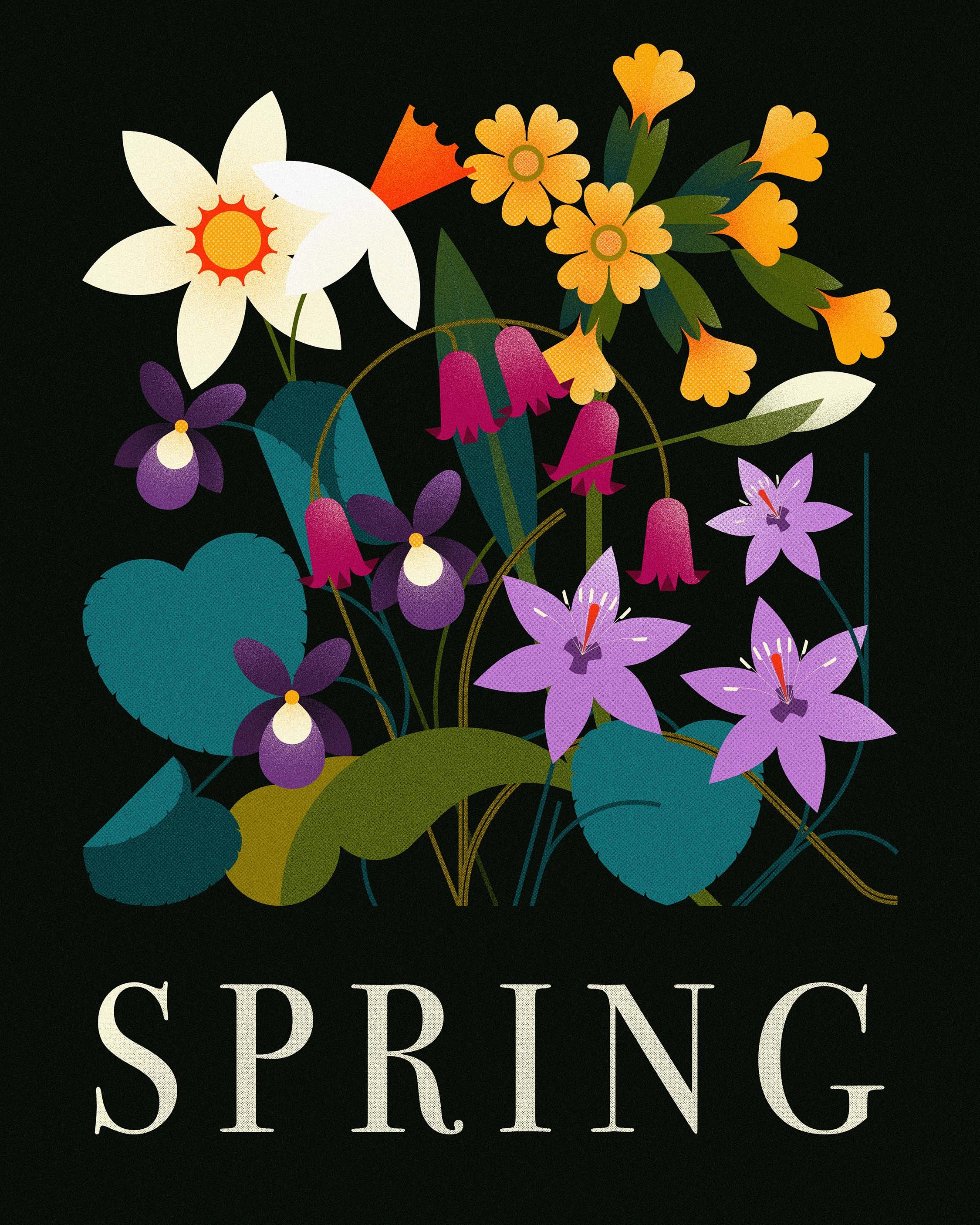 TEMPERATE SEASONS — EMMA CLINTON STUDIO