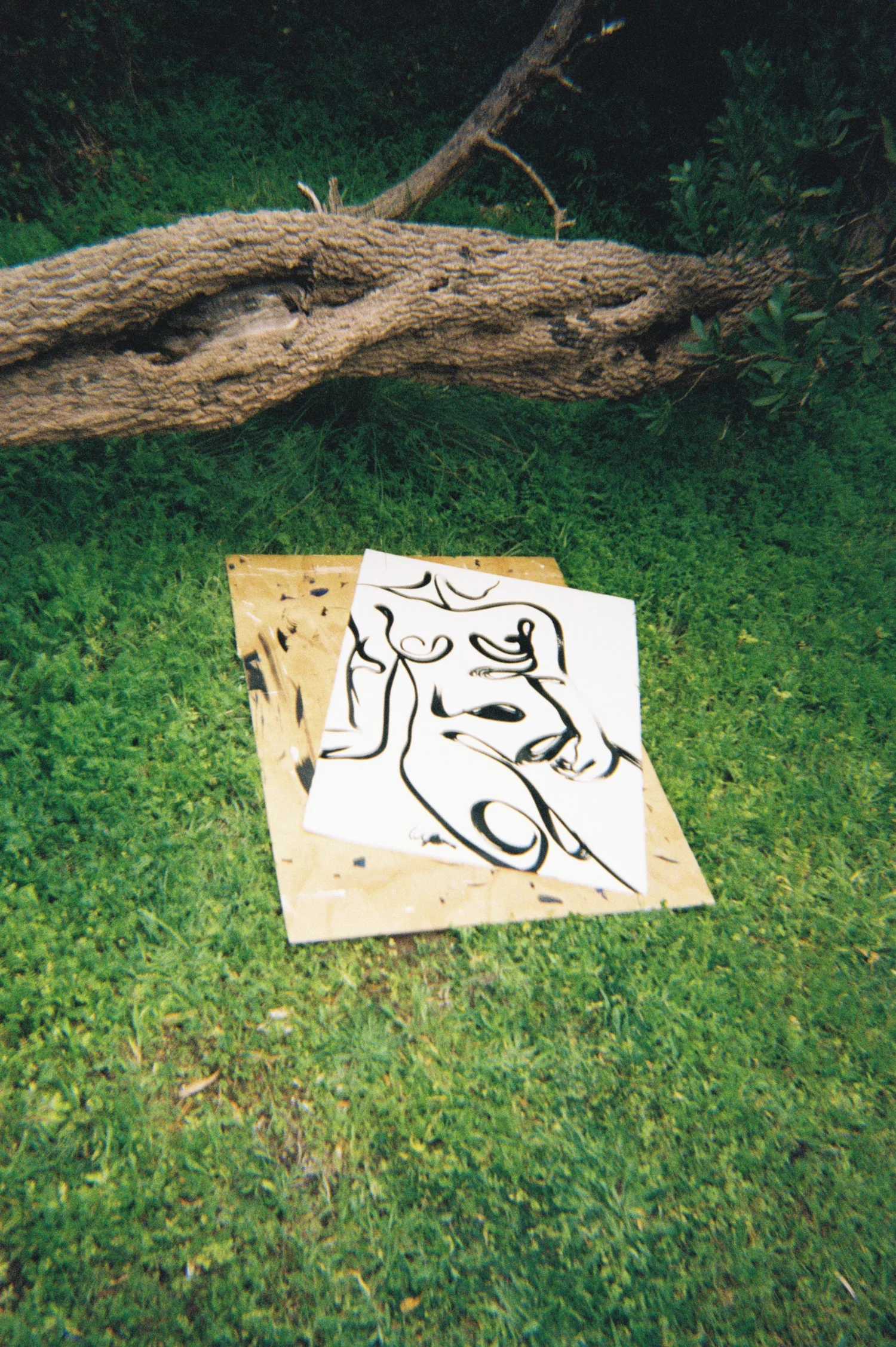 Store 2 — Sundance Studio