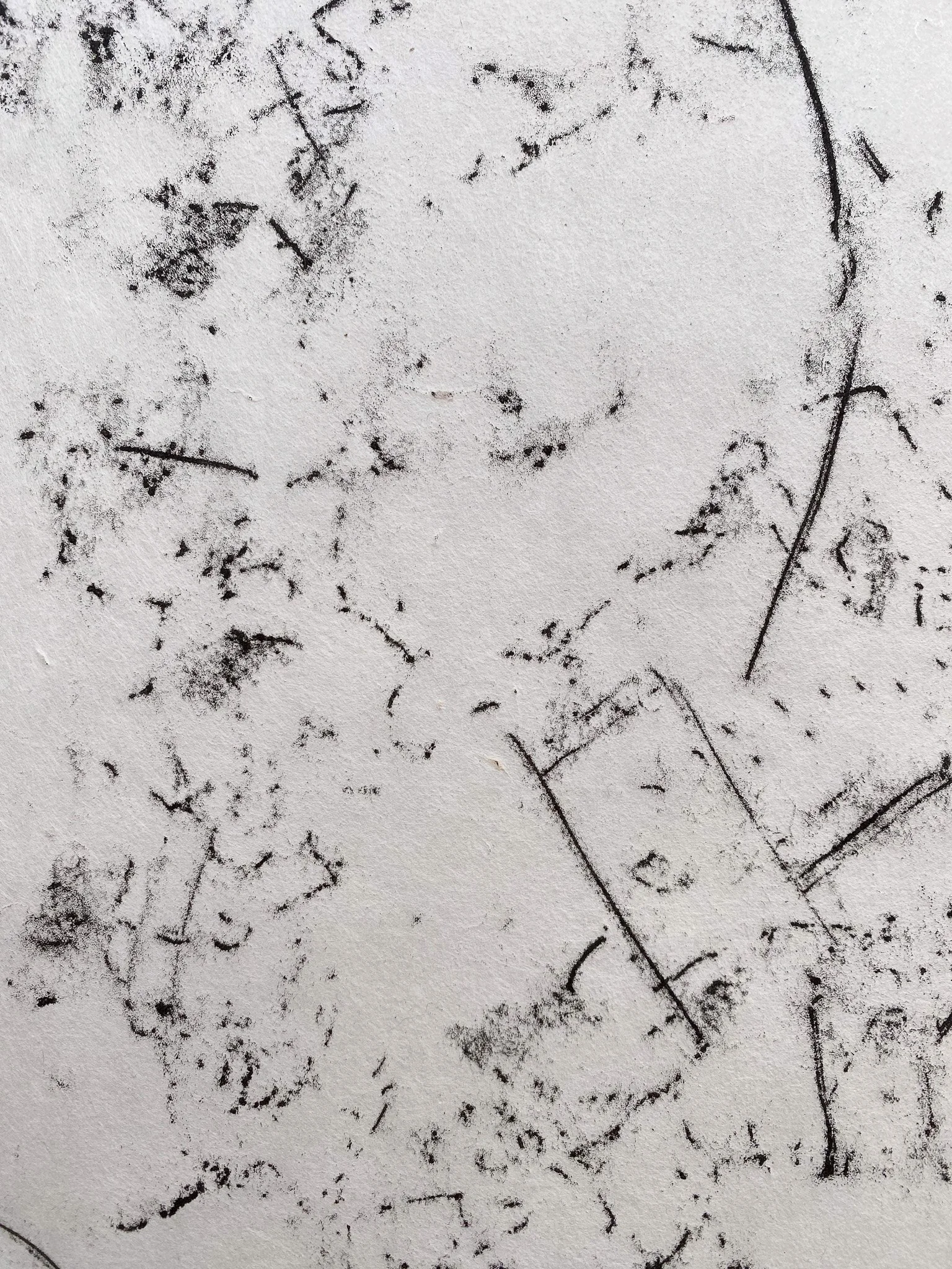 Store 2 — Sundance Studio