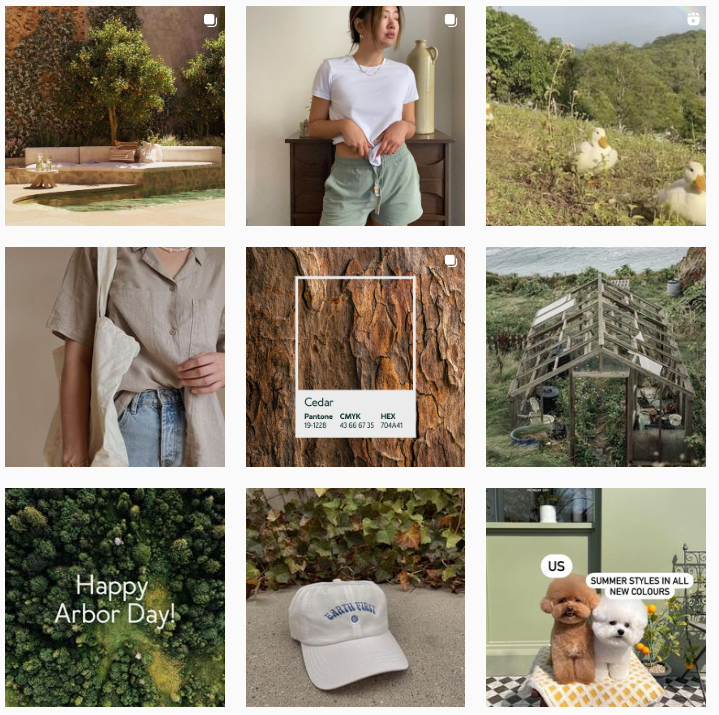 Tentree — Awesome Outdoors Group