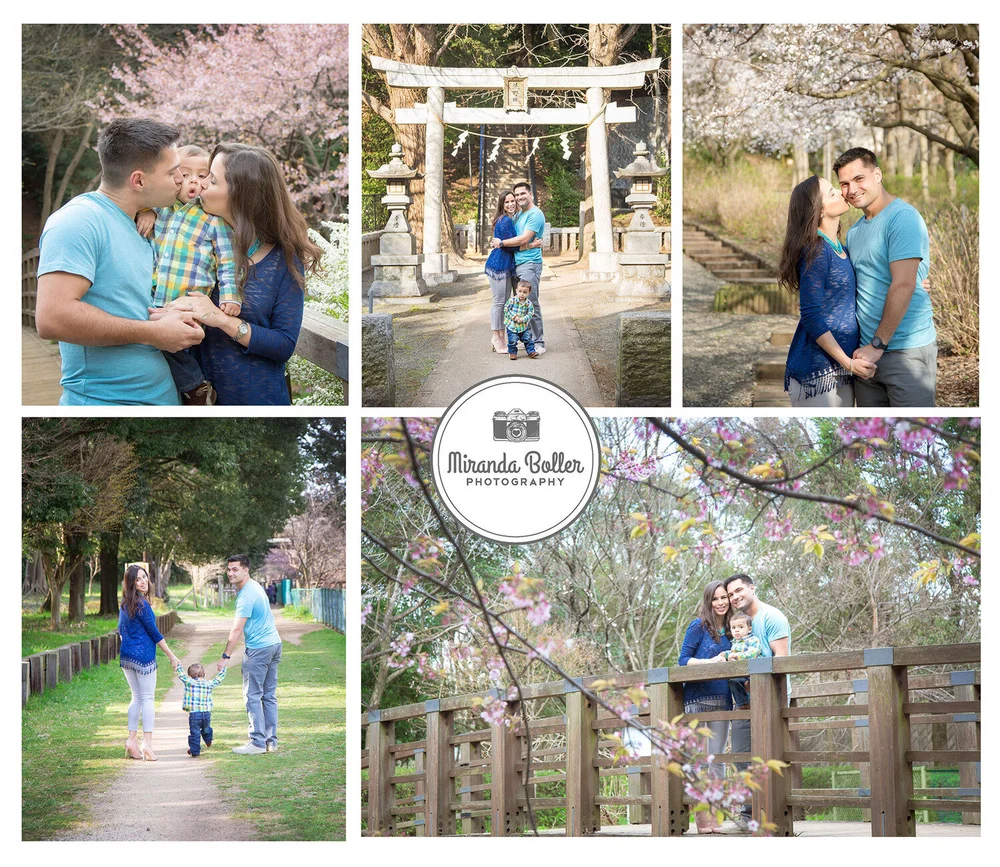 Cherry Blossoms: Pohan Family — Miranda Boller