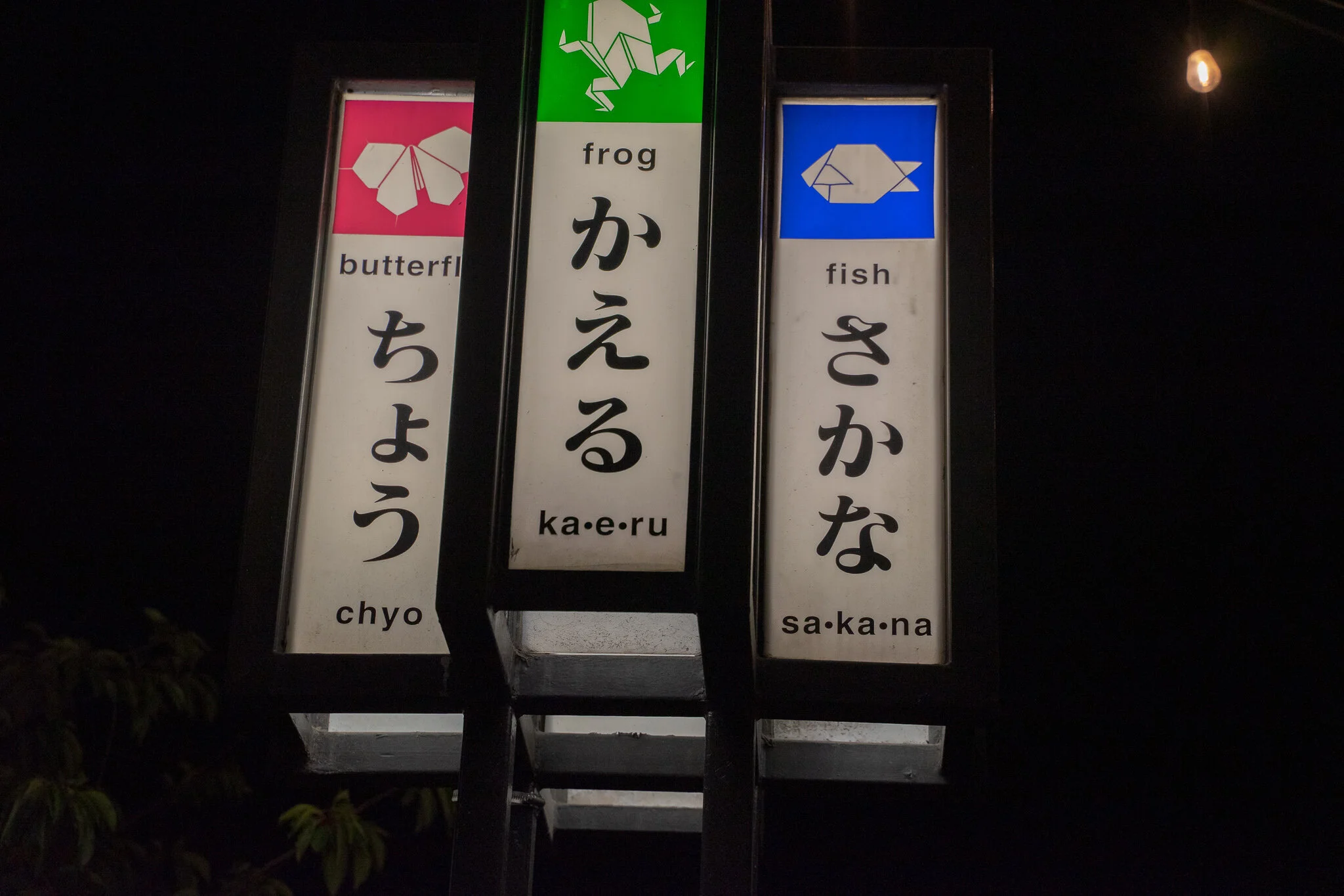 Isiah Foster Photography | Capturing Memories in a Snap!