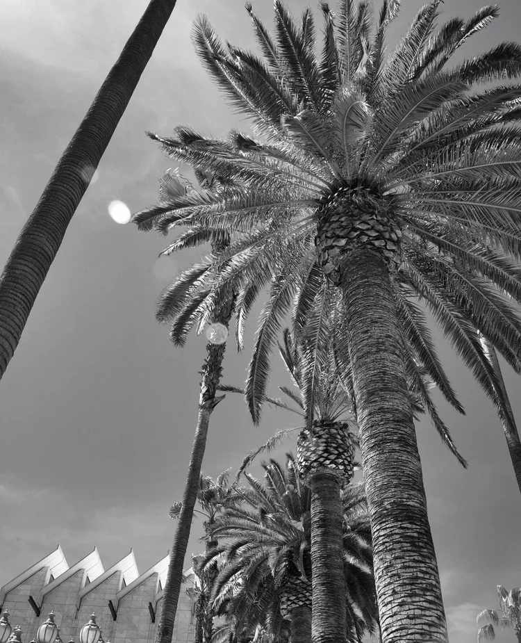 Isiah Foster Photography | Capturing Memories in a Snap!