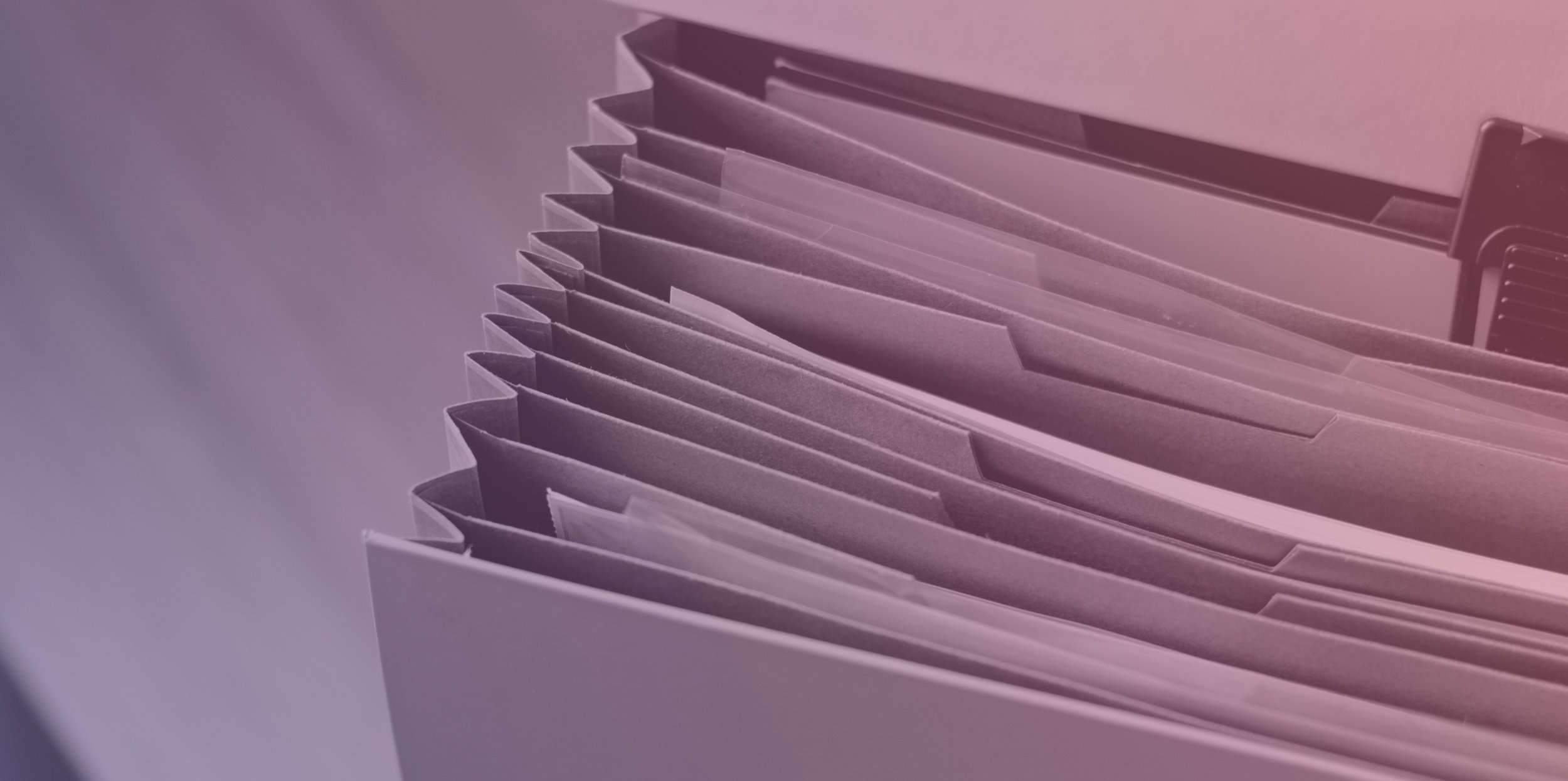 Case Studies | Discover Impactful Strategies Today — Social Impact Hub