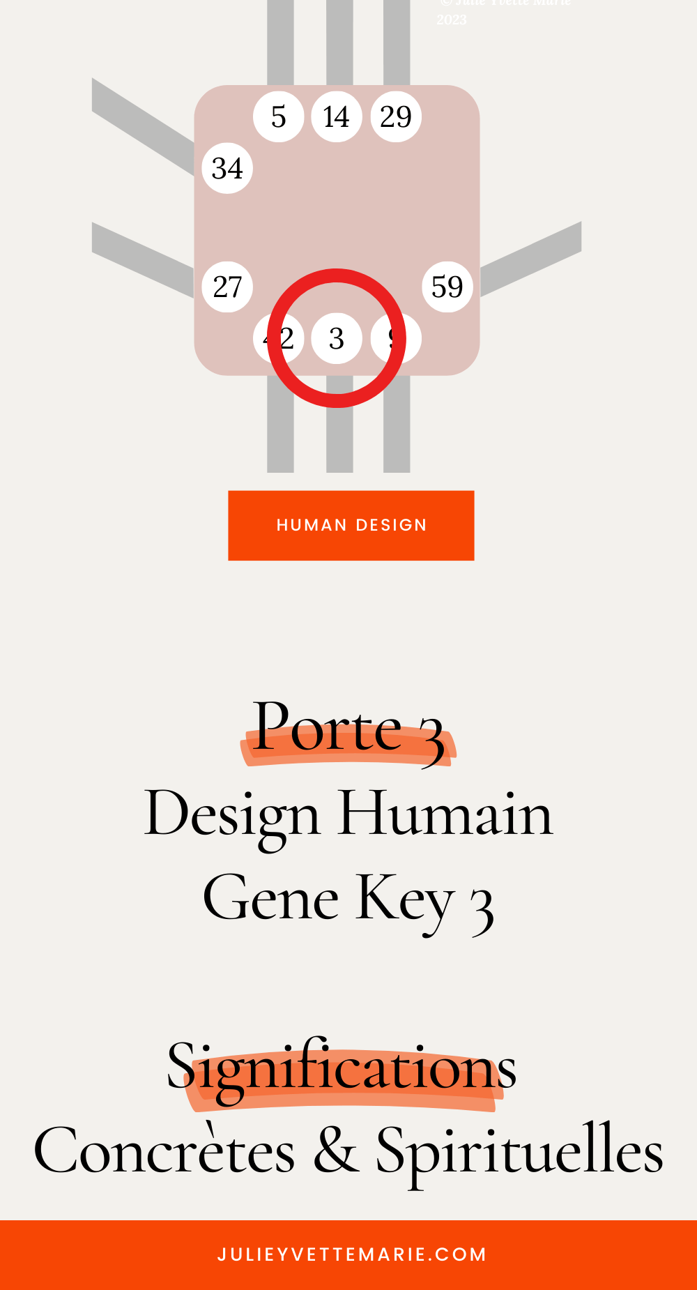 Porte 3 - Gene Key 3 : Signification en Human Design / Design Humain ...