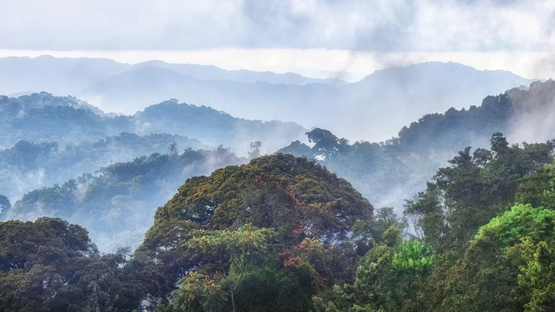 The Rwandan Pocket Guide — Viatu