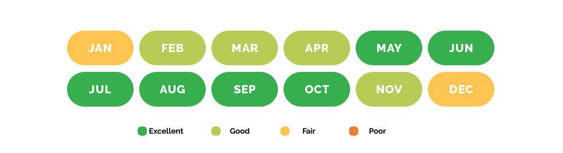 The Namibian Pocket Guide — Viatu
