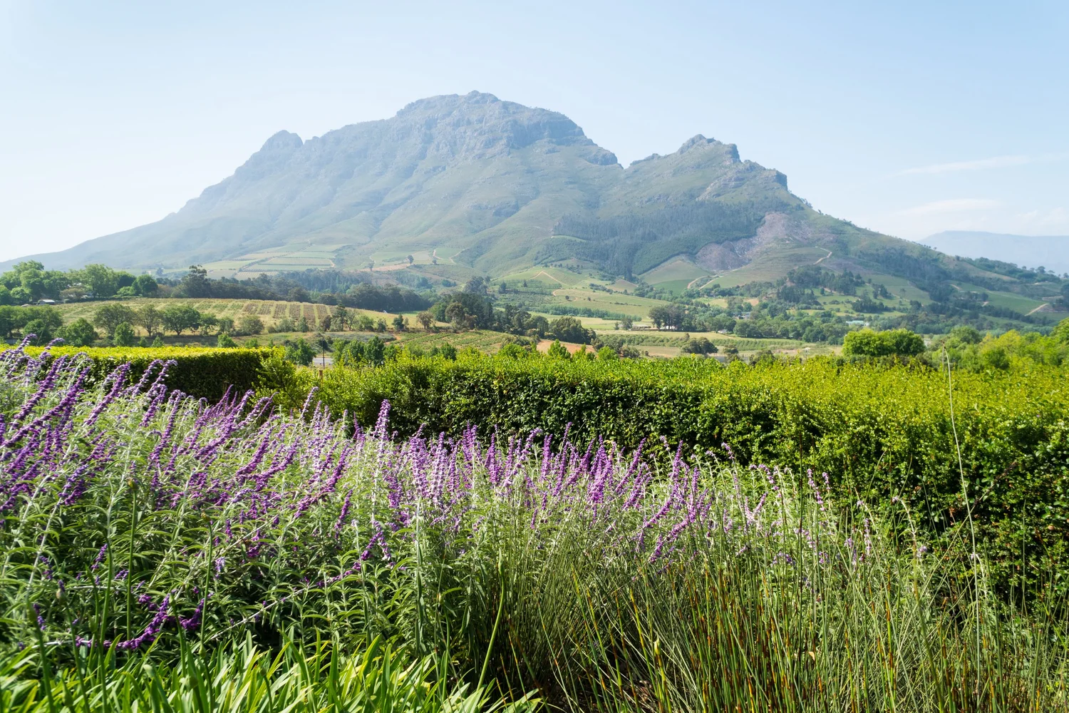 All You Need to Know: Paarl — Viatu