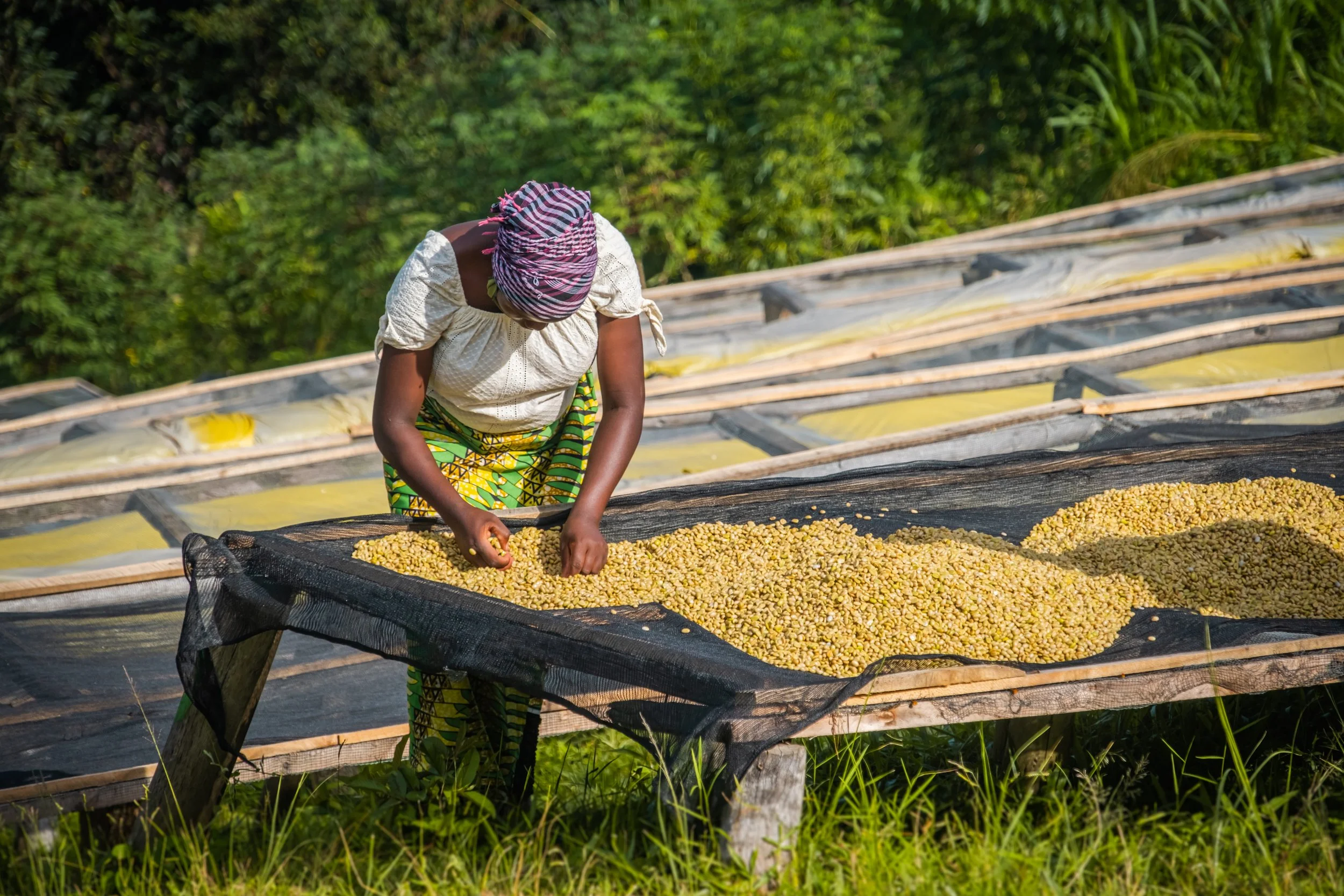 The Rwandan Pocket Guide — Viatu