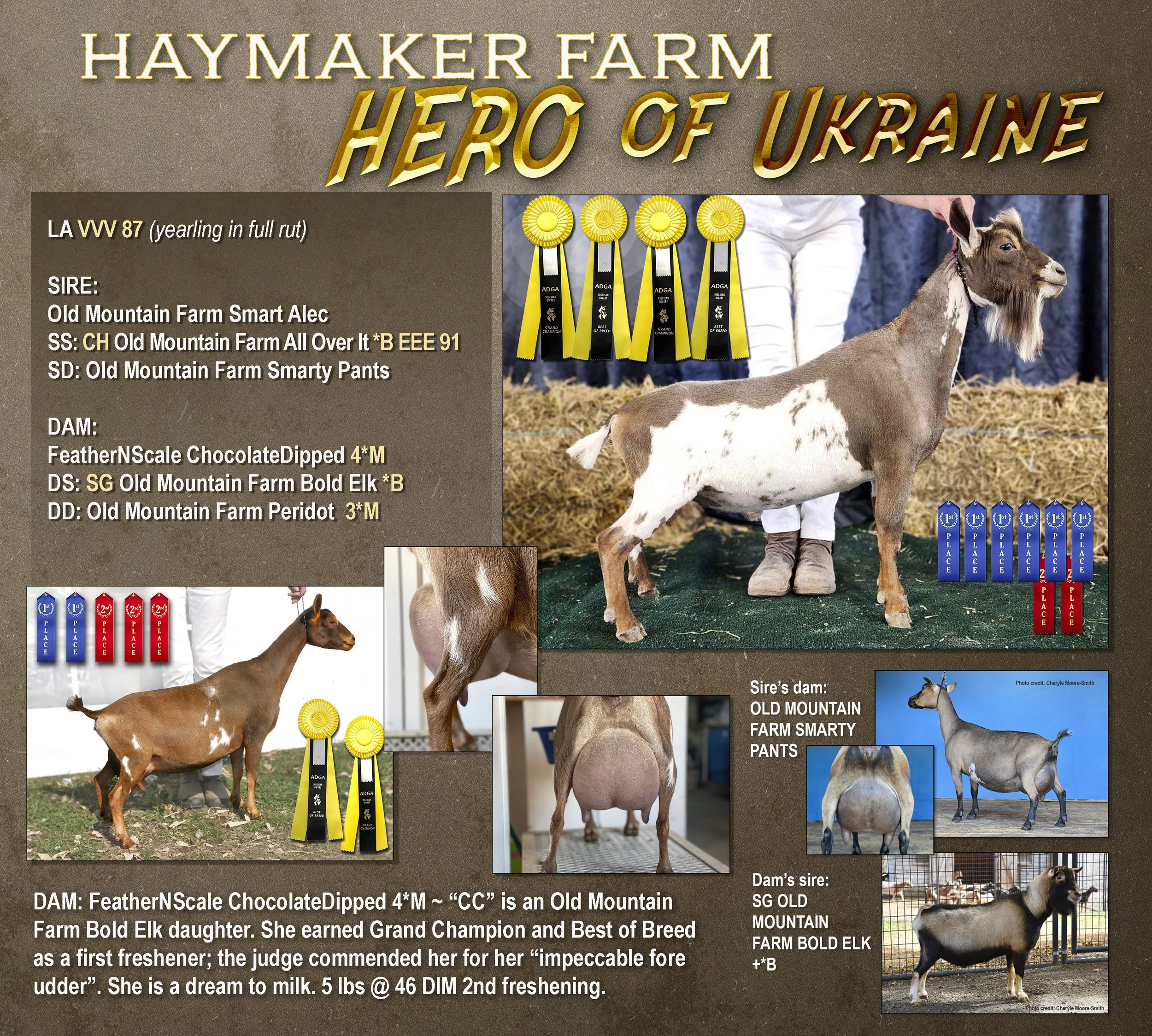 Semen Sales — Haymaker Farm Nigerian Dwarf Goats