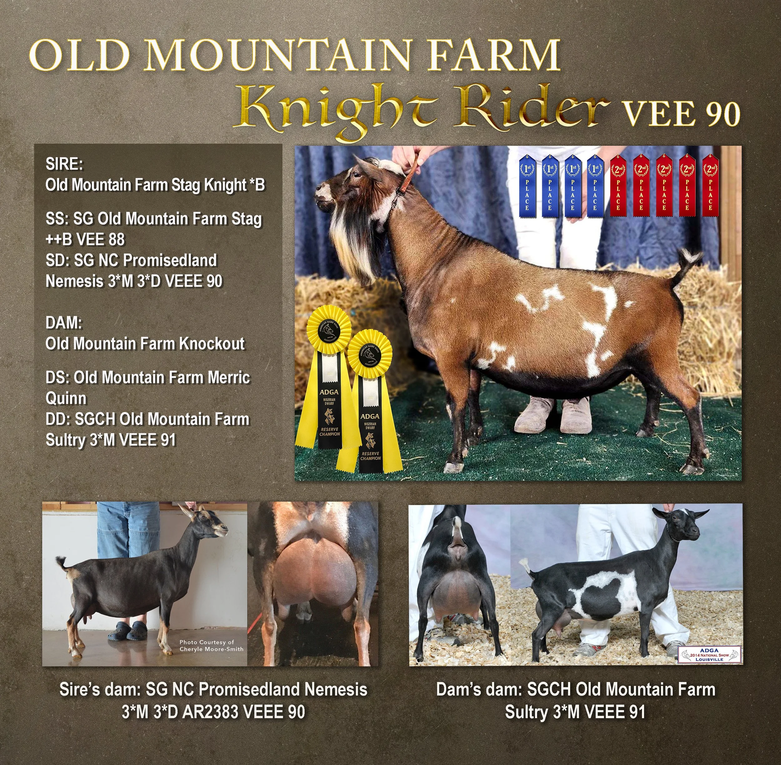 Semen Sales — Haymaker Farm Nigerian Dwarf Goats