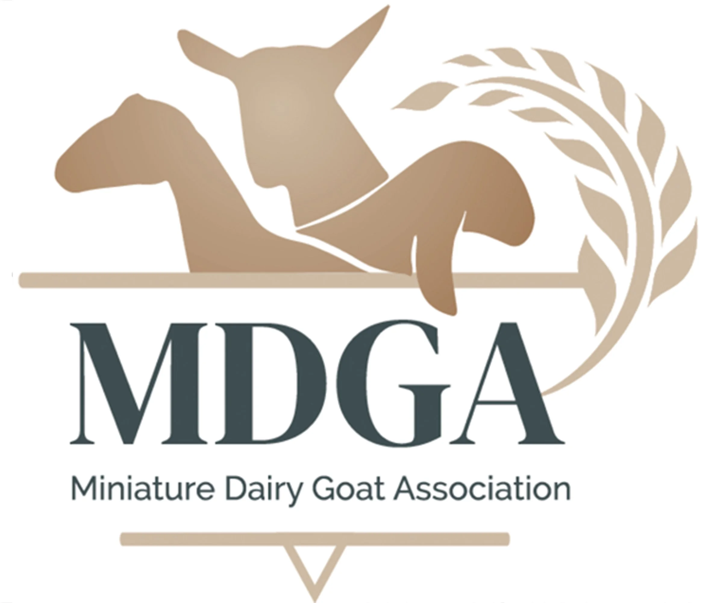 Haymaker Farm Nigerian Dwarf Goats