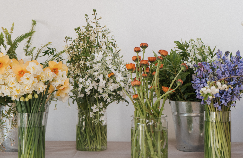 About | Strength & Stem