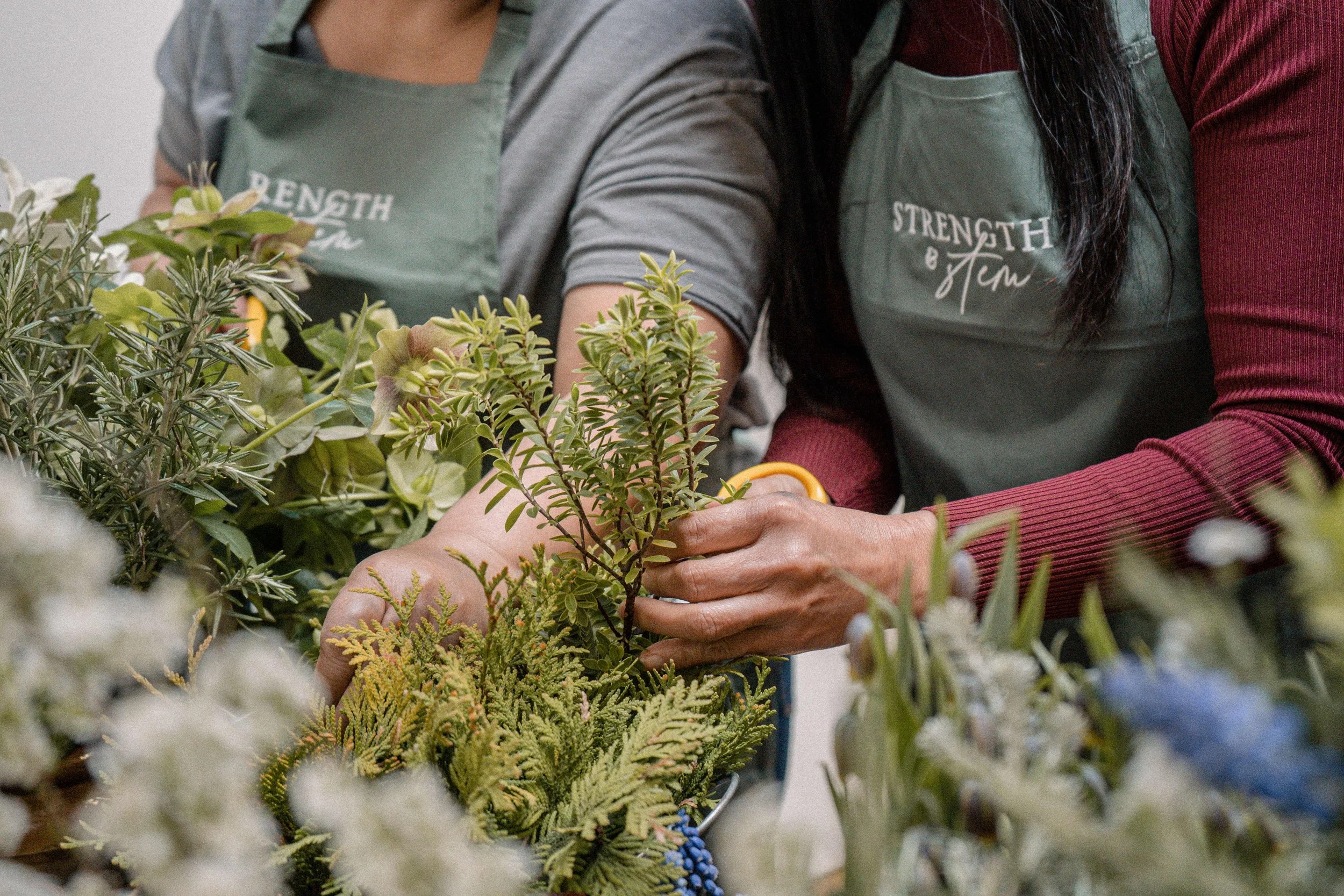 Our Impact | Strength & Stem