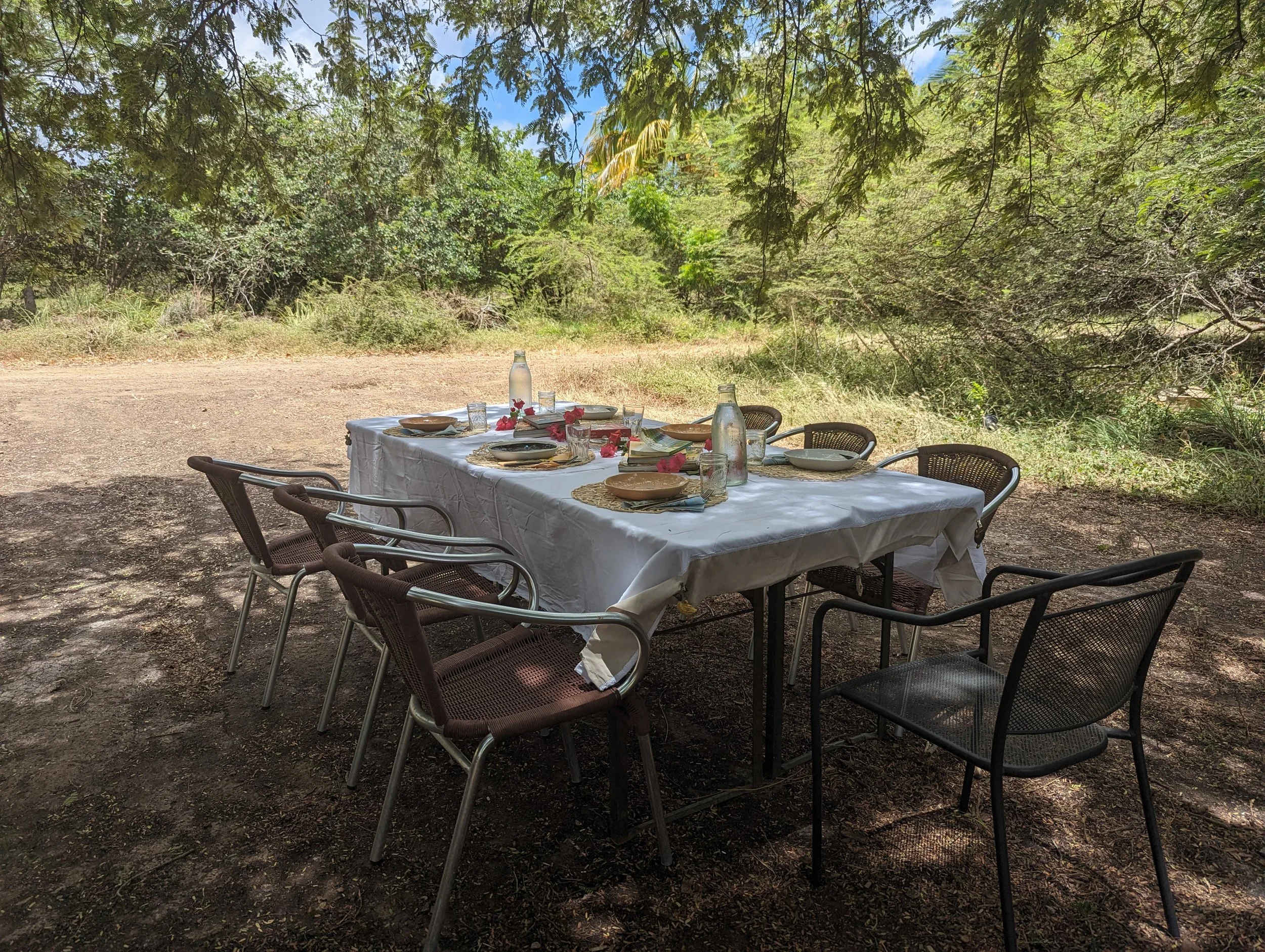 6 Best Things to Do in Curaçao — Cait Kontalis