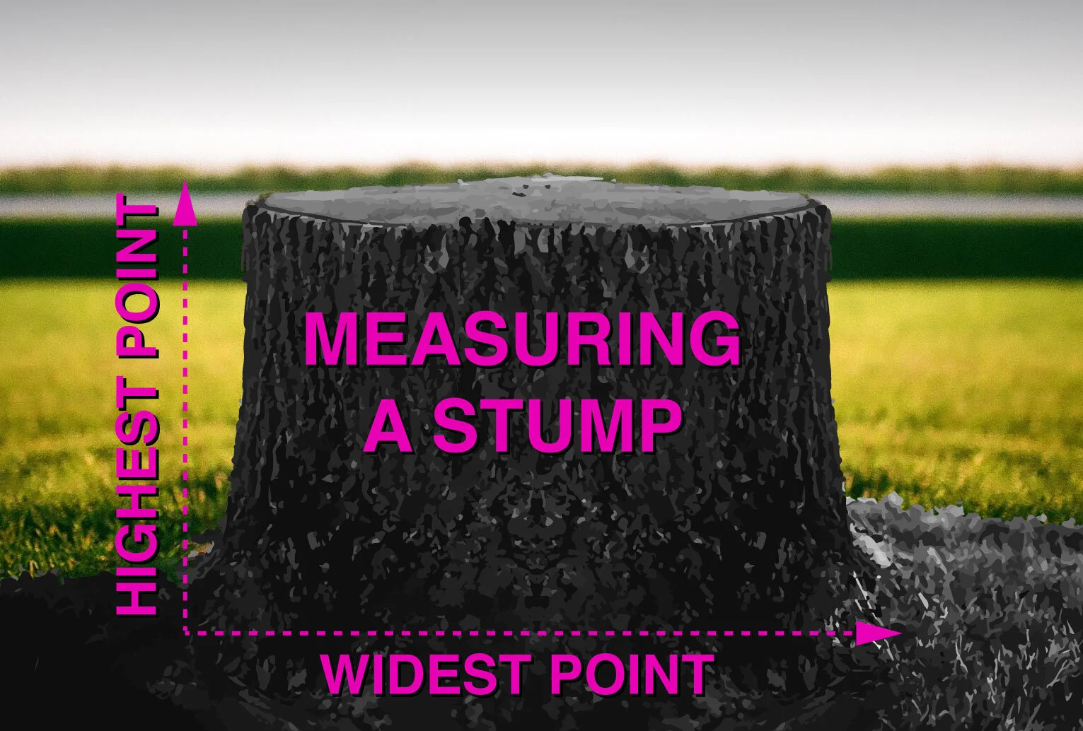 Rosie the Stump Boss